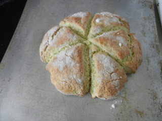 Skimming the Surface: Summer Days & Bunches of Basil, What to Do ...