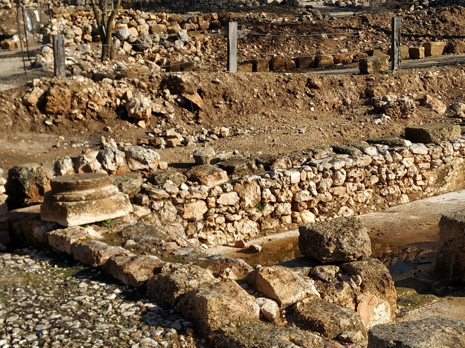 A Jewish Grandmother : Rosh Chodesh Adar- Save The Date