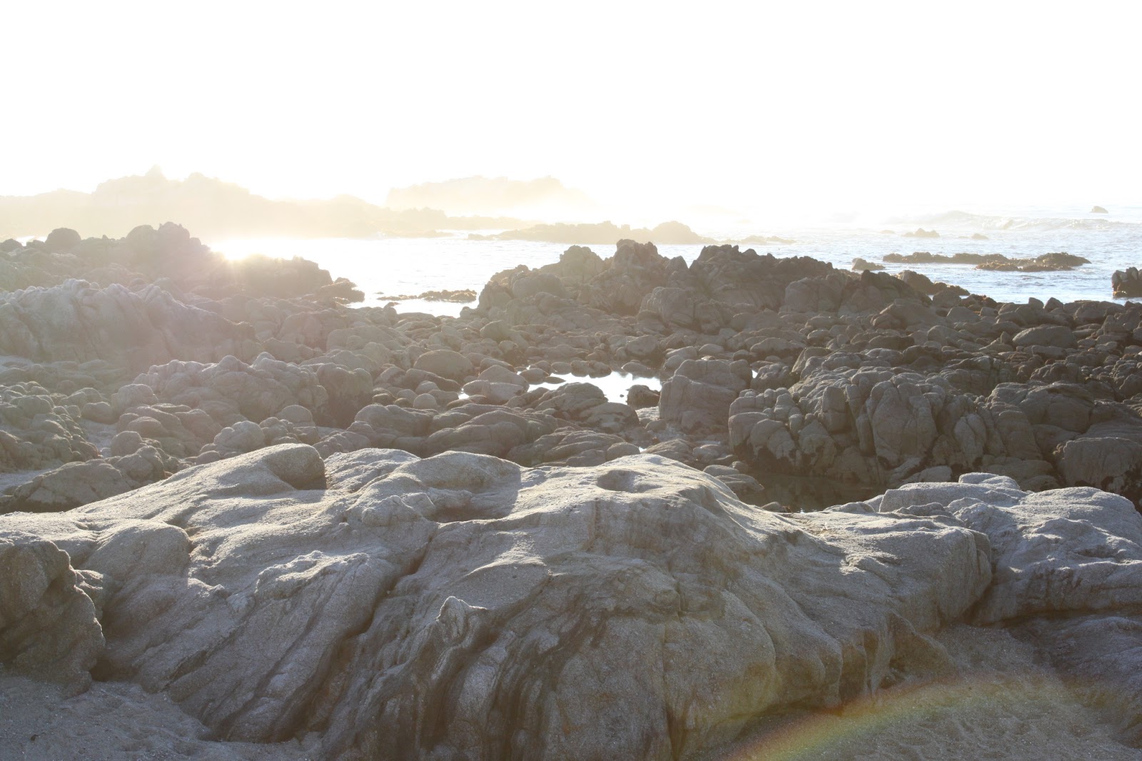 Life's a Trip: California - Point Pinos Lighthouse and Tide Pools