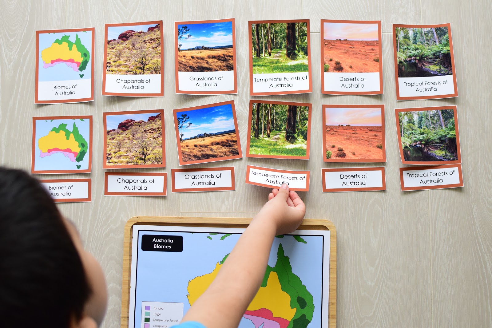 Oceania/Australia in a Nutshell - New Edition | The Pinay Homeschooler