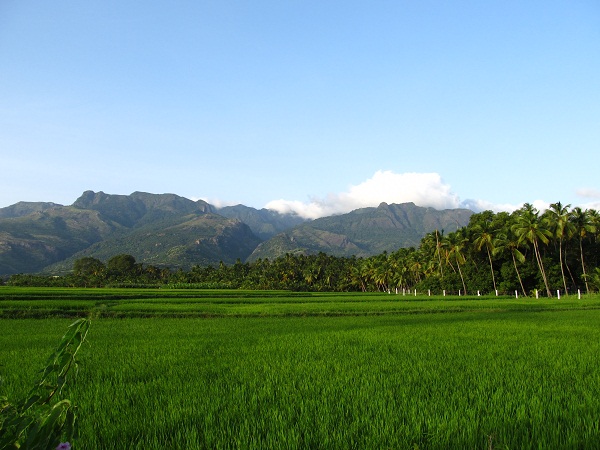 Tamilnadu Tourism: Thiruvilanji Kumarar Temple, Ilanji – The Temple