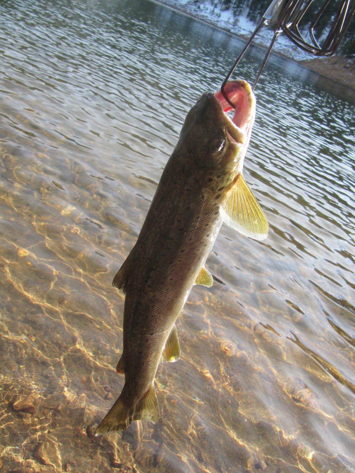Treasures of the Rockies: Gross Reservoir Fishing