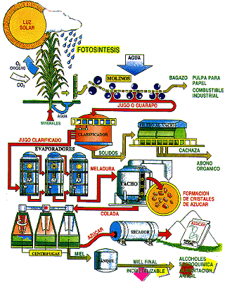 Creatirevista-Agroindustrial: AZUCAR Y PROCESO DE PRODUCCION EN EL ...