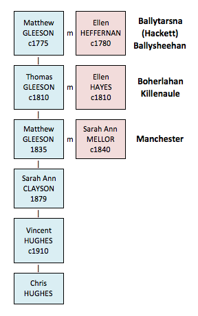 Gleeson Clan Gathering 2016: My Gleeson Family Connection ... and an ...