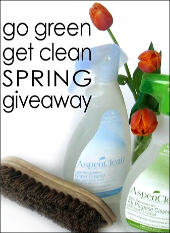 Lime Post: Go Green Get Clean Spring Giveaway