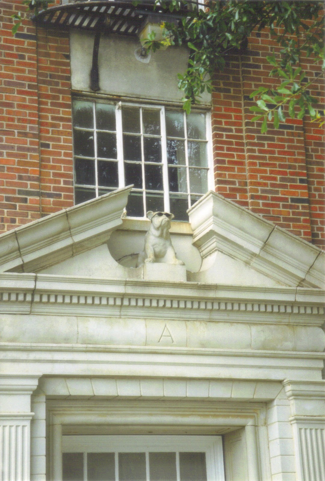 Tally Ho!: Hull Hall Bulldogs With Sunglasses At Mississippi State ...
