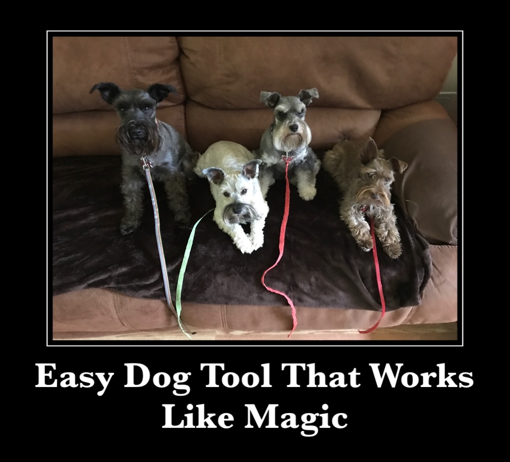 My Schnauzer Addiction: Easy Dog Tool That Works Like Magic