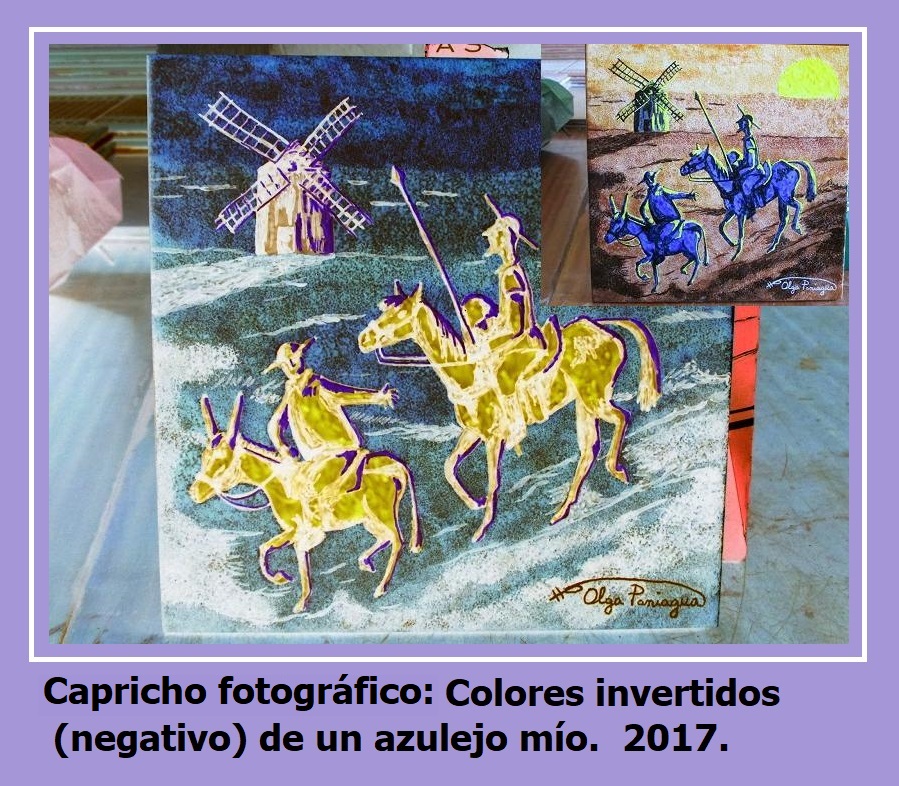 PINTORA OLGA PANIAGUA: FOTOS EN COLOR INVERTIDO