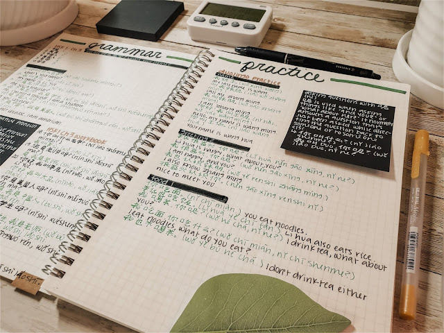 jinju study: my ideal study routine