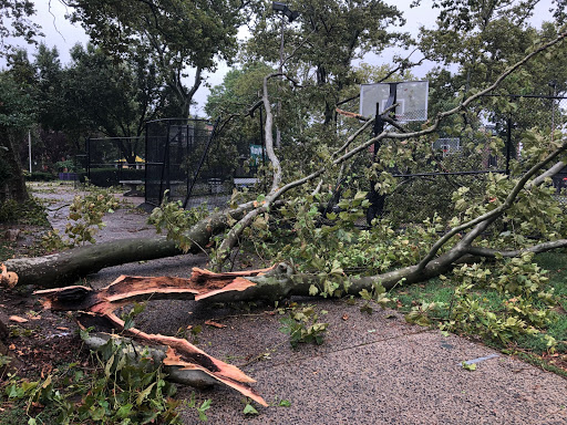 "Downed trees and wires in 35 locations"