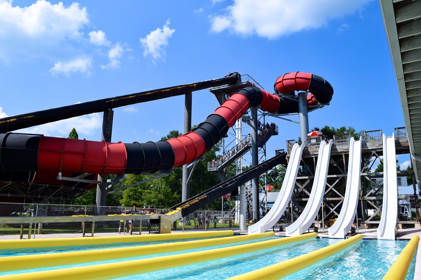 Thrillography: Thrillography Goes to Blue Bayou and Dixie Landin' Trip ...