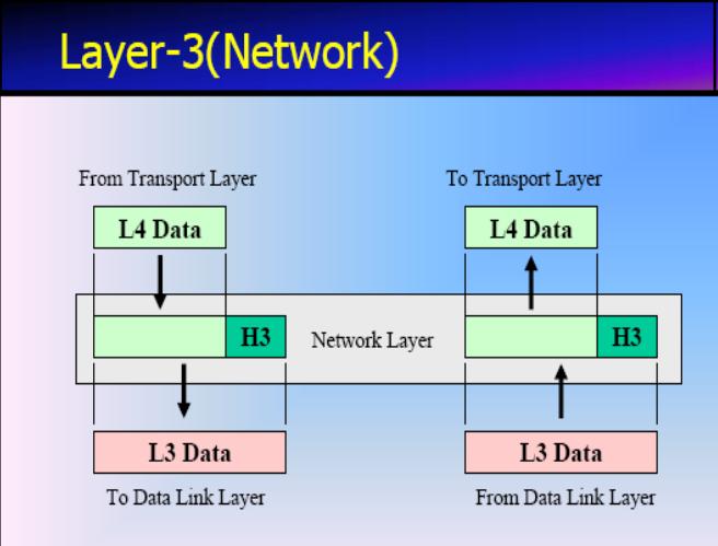 Networking(DCCN): OSI Reference Model