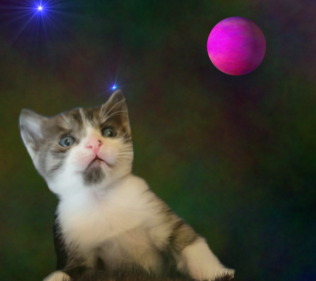 Nebulopathy: Space Kitten #1