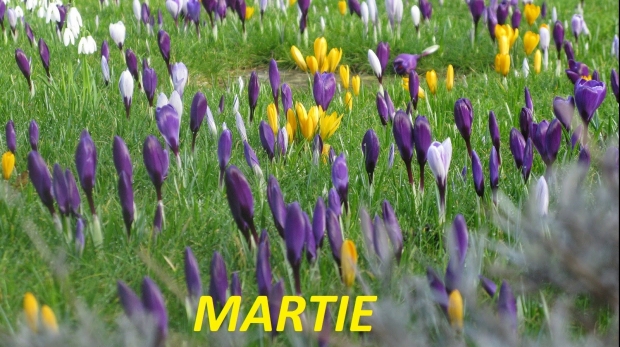 CLASA NOASTRĂ: Luna martie