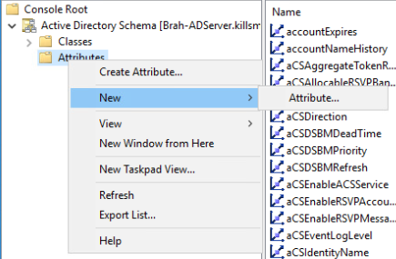 PSR.COM: Add custom user/system attributes in Active Directory
