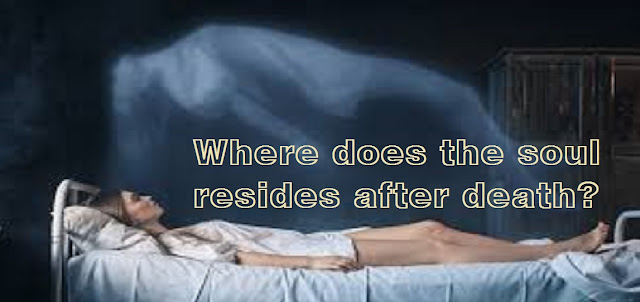 What Does A Human Soul Look Like