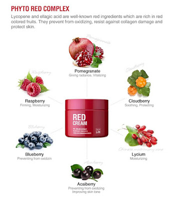 Adventures of Luzzie : REVIEW: Dr. Color Effect Red Cream by Skin & Lab