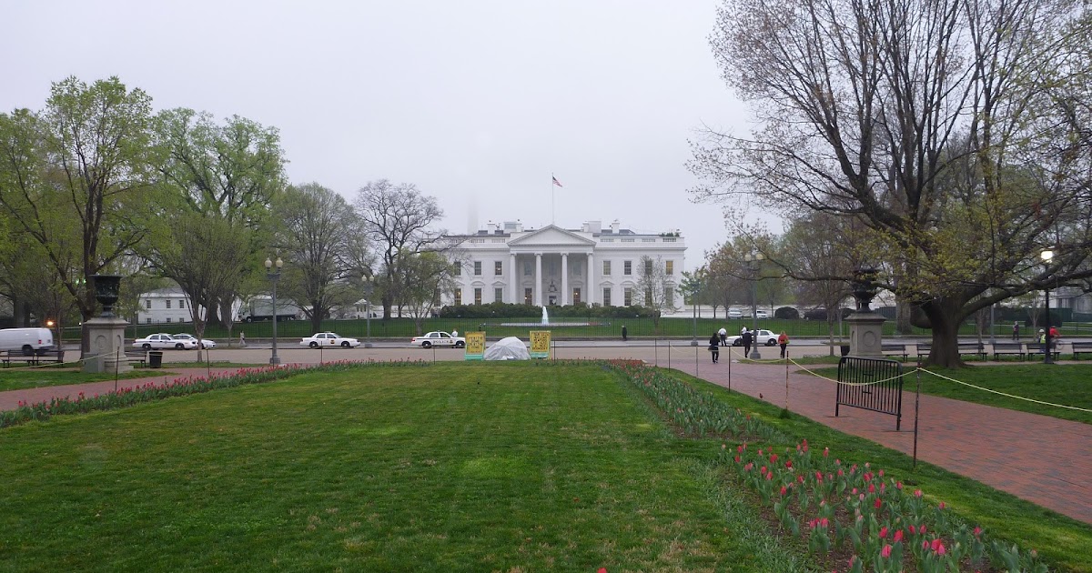 Ribbons and Lines: Change and Permanence in Washington DC