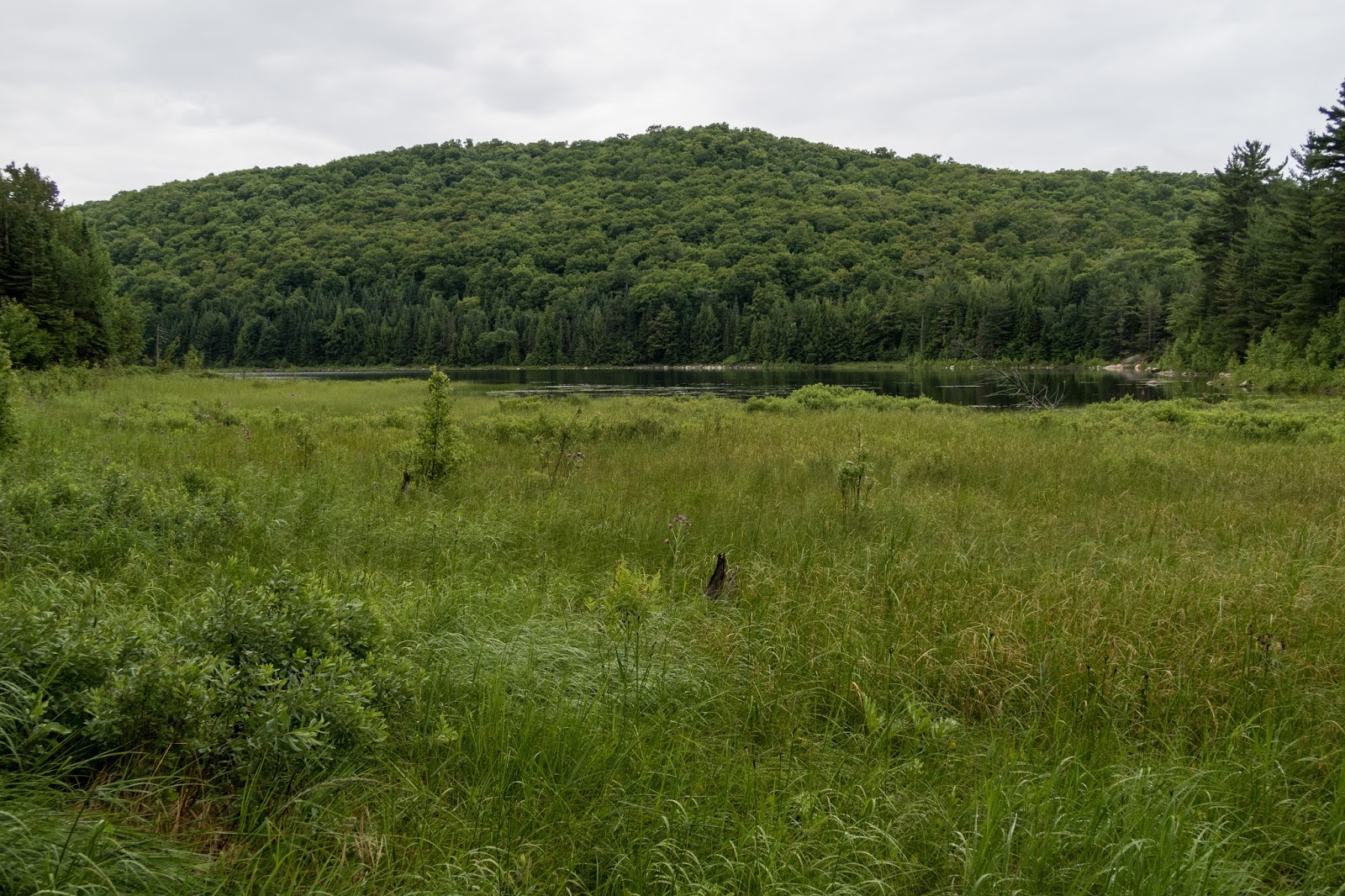 Eric's Hikes: Voyageur Trail: Harmony and Stokely Trails