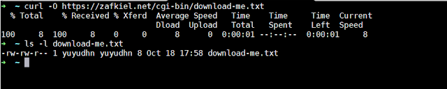 Cara Download File menggunakan cURL di Terminal - LinuxSec Cara Download File menggunakan cURL di Terminal - LinuxSec