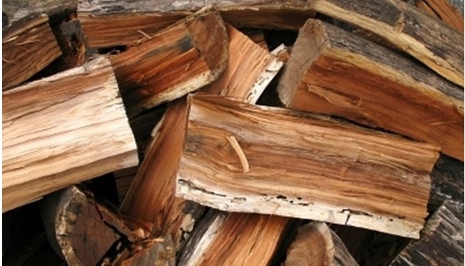 woodstove catalytic combustors: Operating the wood burning appliance ...