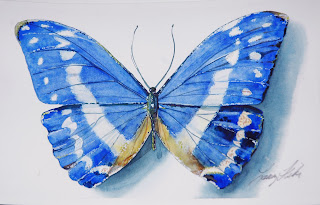 Larry Fiske Watercolors