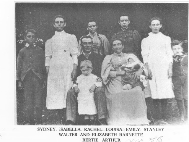 Walter Henry Barnett