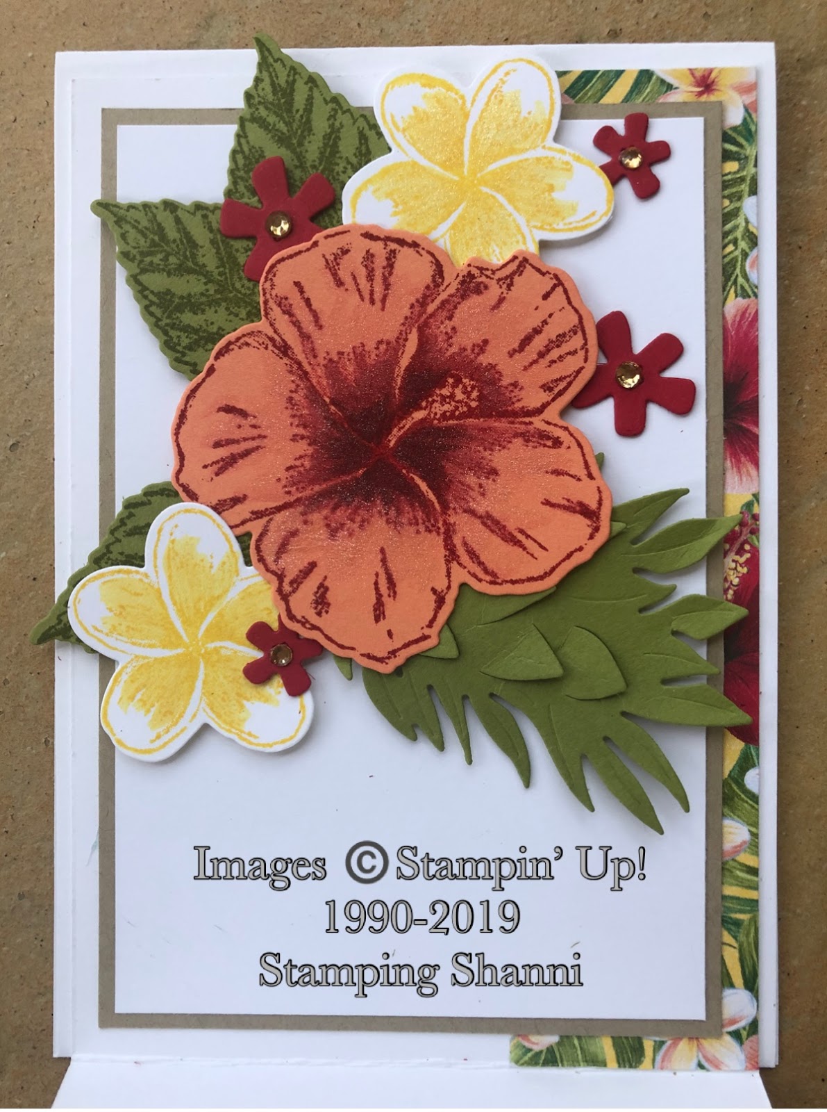 Stamping Shanni: Fancy Folds - Double Easel Card