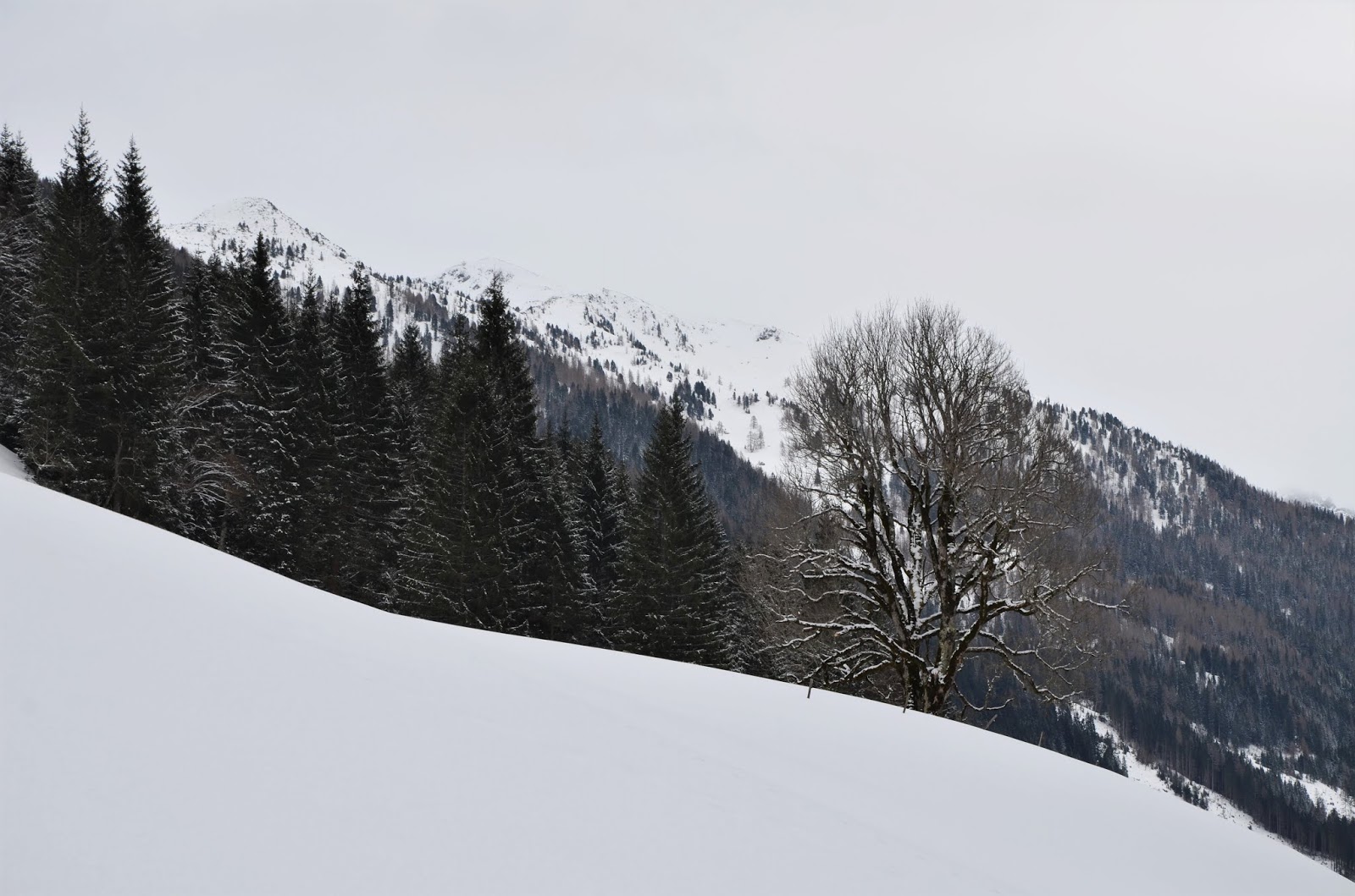 Pondělí: Hory, zima, sníh...