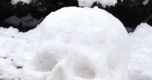 Collborative Snow Skull