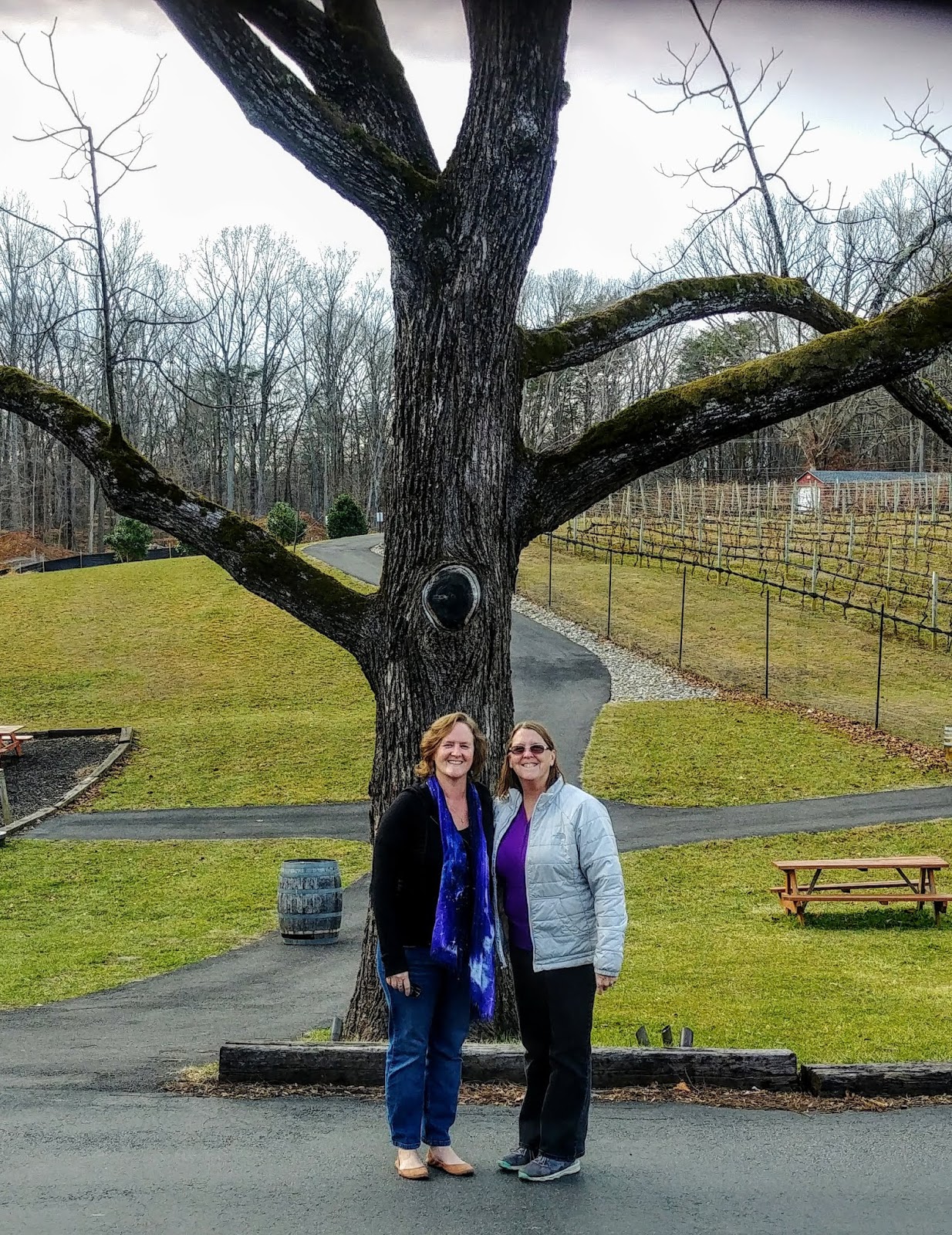 Another Mile Another Destination Blog: Paradise Springs Winery, Clifton ...