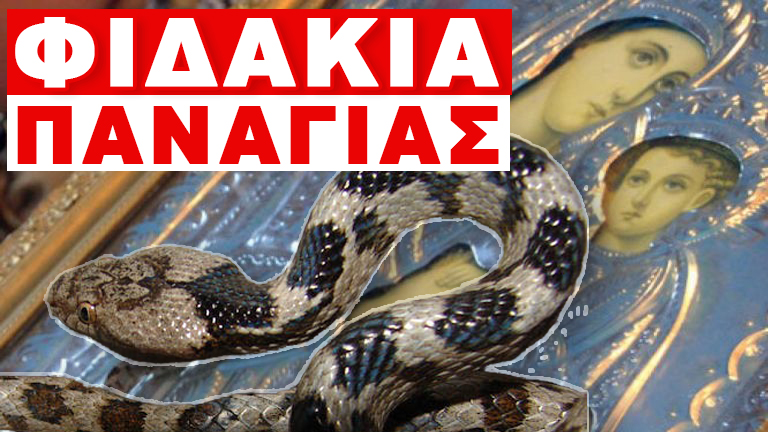 "ΦΙΔΑΚΙΑ ΤΗΣ ΠΑΝΑΓΙΑΣ" ΕΝΑ ΘΑΥΜΑΣΤΟ ΓΕΓΟΝΟΣ ΠΟΥ ΣΥΜΒΑΙΝΕΙ ΚΑΘΕ ΑΥΓΟΥΣΤΟ ...