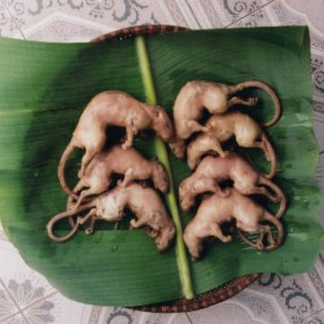Cultura e Cotidiano: Culinária Oriental