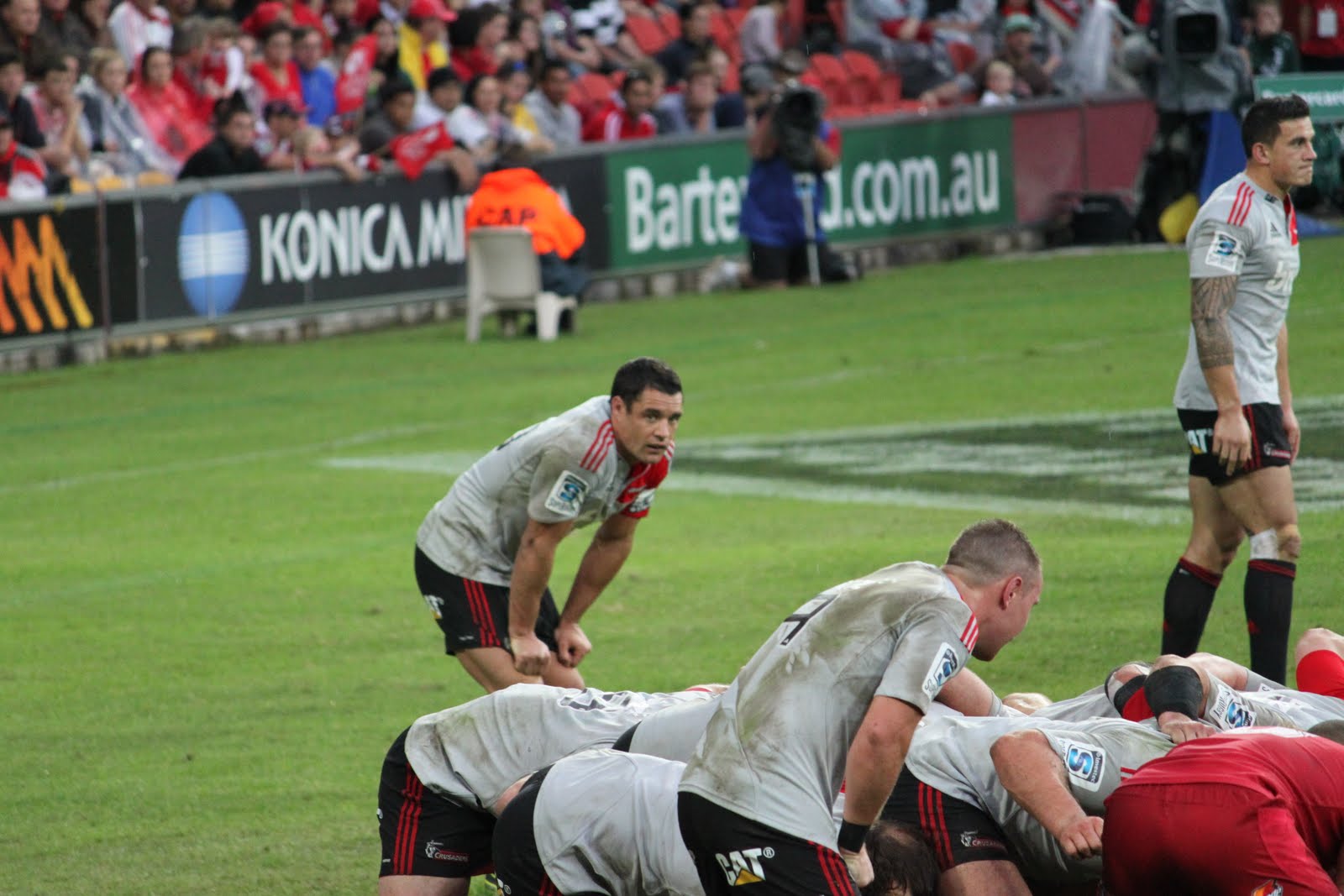 Baby Rugger: Rudist Nudists and Kiwis.
