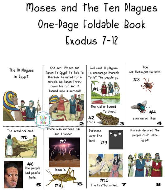 Plagues in Egypt! | Bible Fun For Kids
