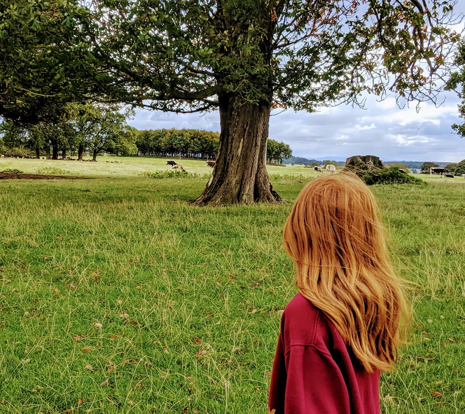 A Visitor's Guide to Raby Castle, Deer Park & Gardens | North East ...