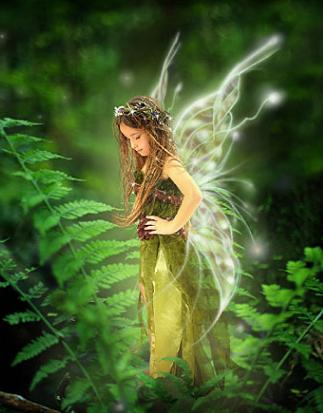 O Ser Luminoso: Findhorn, Devas, Videntes, Natureza e outros bichos...