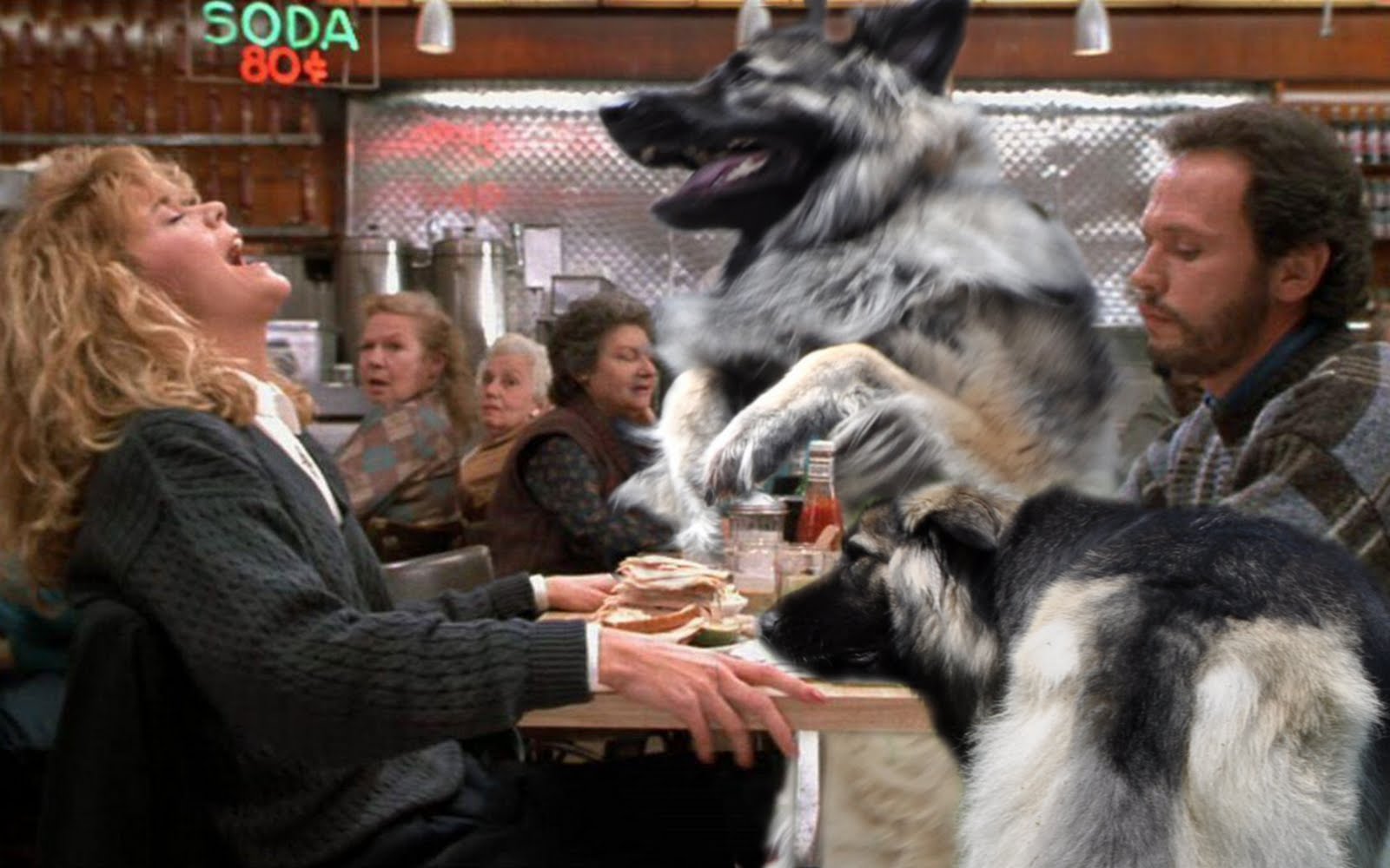 Cooper's Shiloh Shepherd Blog: Famous Movies - featuring ISSR Shiloh ...