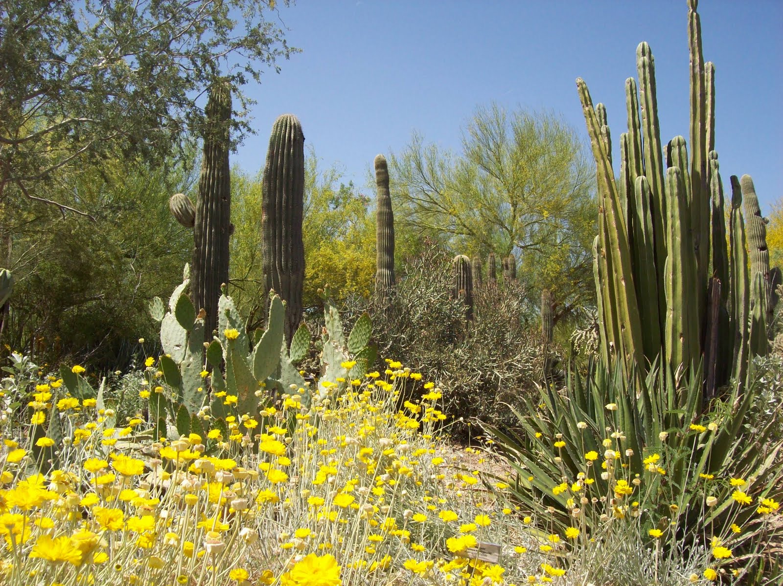 Have Book, Will Travel: April 2011