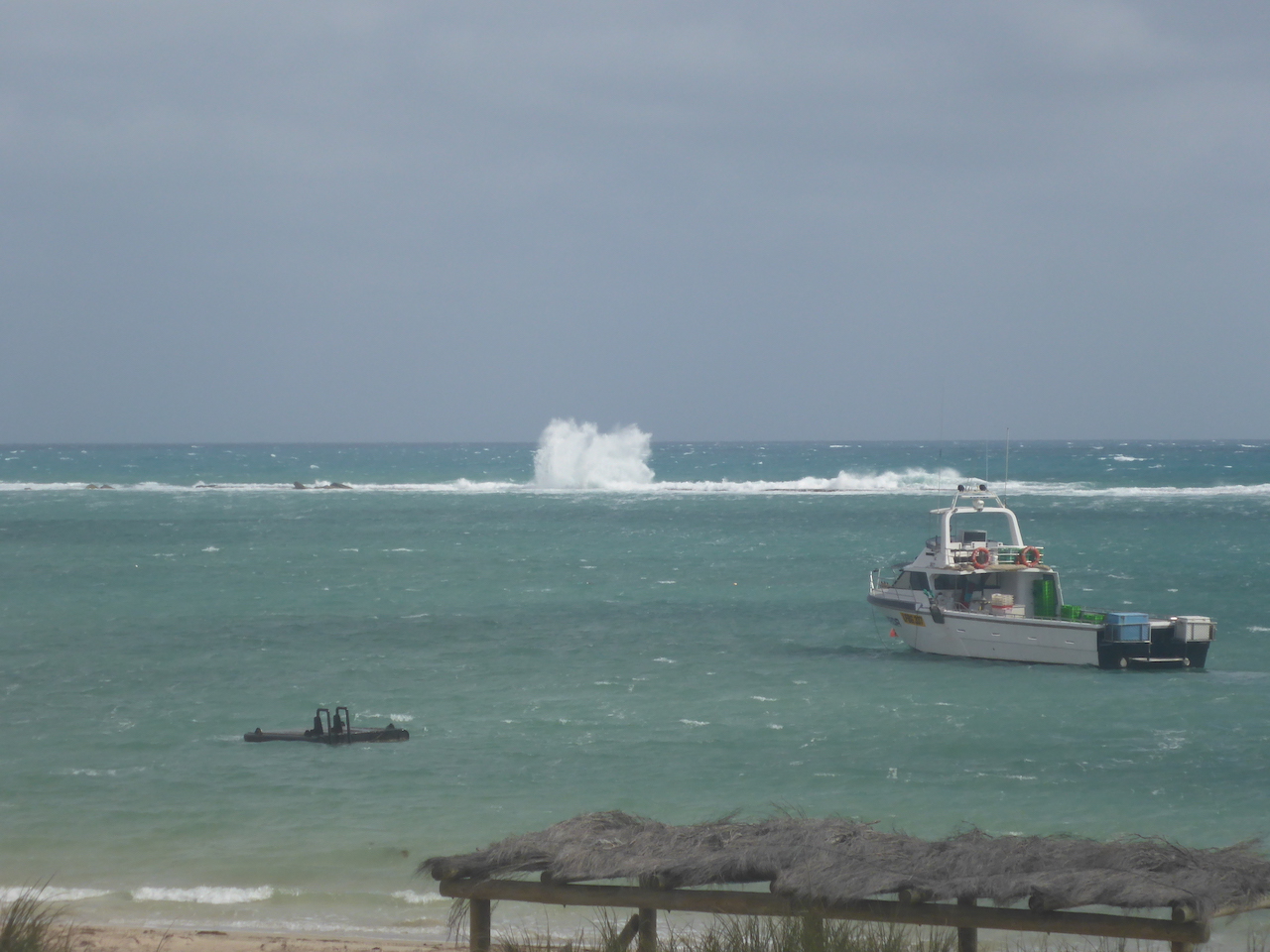 The Windsurf Loop: Shark Bay and Lancelin