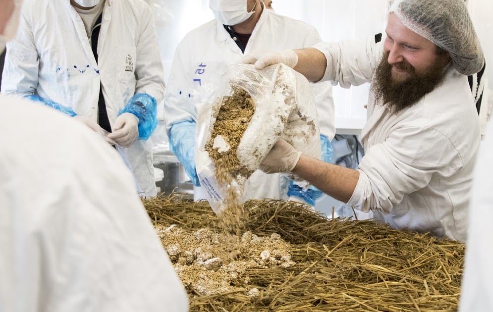 Mushroom Spawn Production Training | Mushroom Spawn Laboratory Training