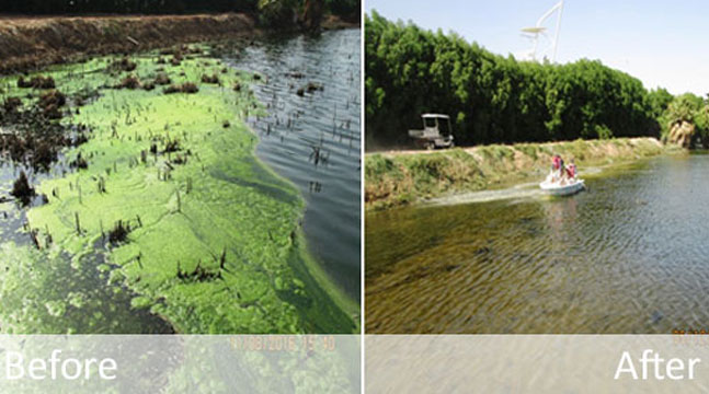 Importance of Lake / pond Restoration