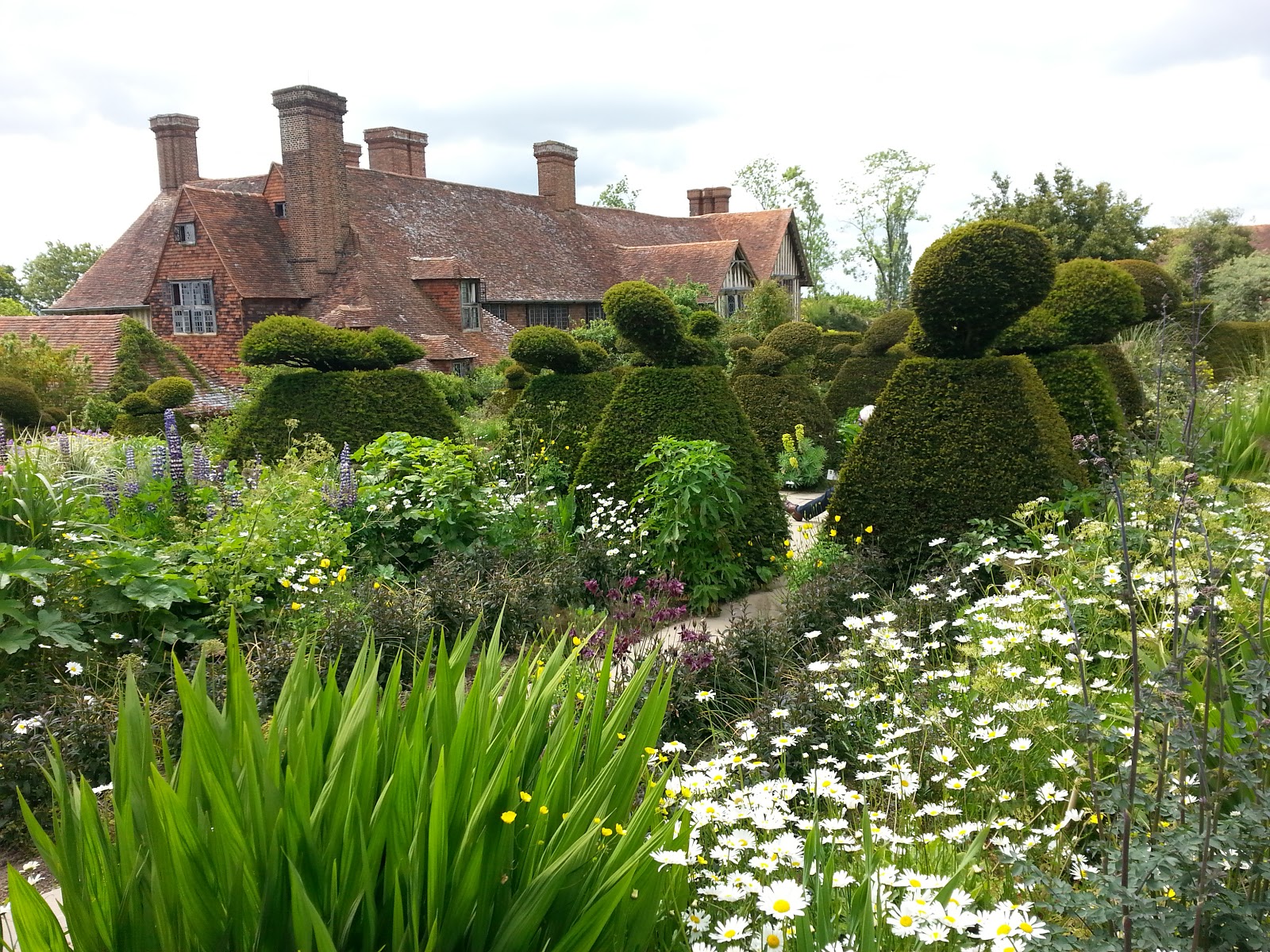 Rambling towards an exotic garden paradise: Great Dixter in June