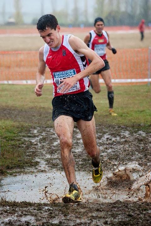 cosas guays: Entrevista a Daniel Mateo Angulo