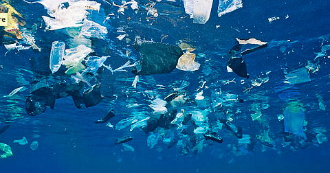 Havet og plastmysteriet