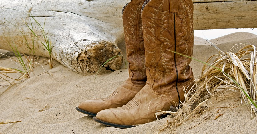 Western Fictioneers: GERONIMO WAS HERE by Vonn McKee