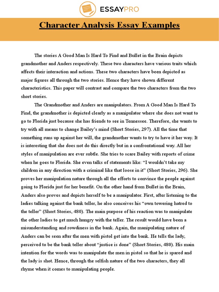 Examples Of Character Analysis Essays ~ Resume Letter