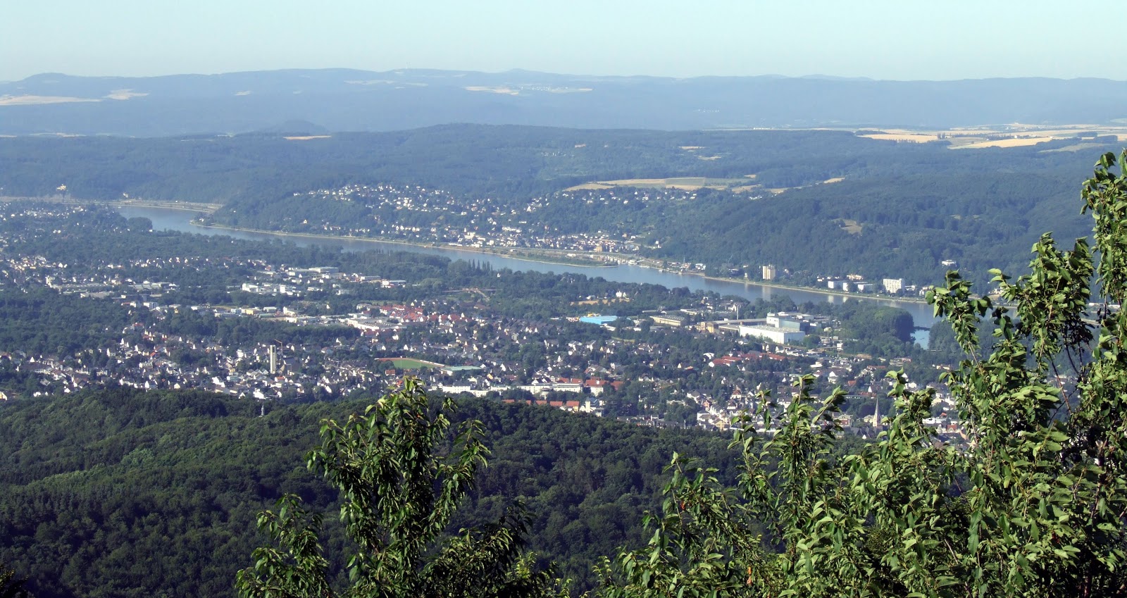 Weinkultur Remagen: Oberwinter