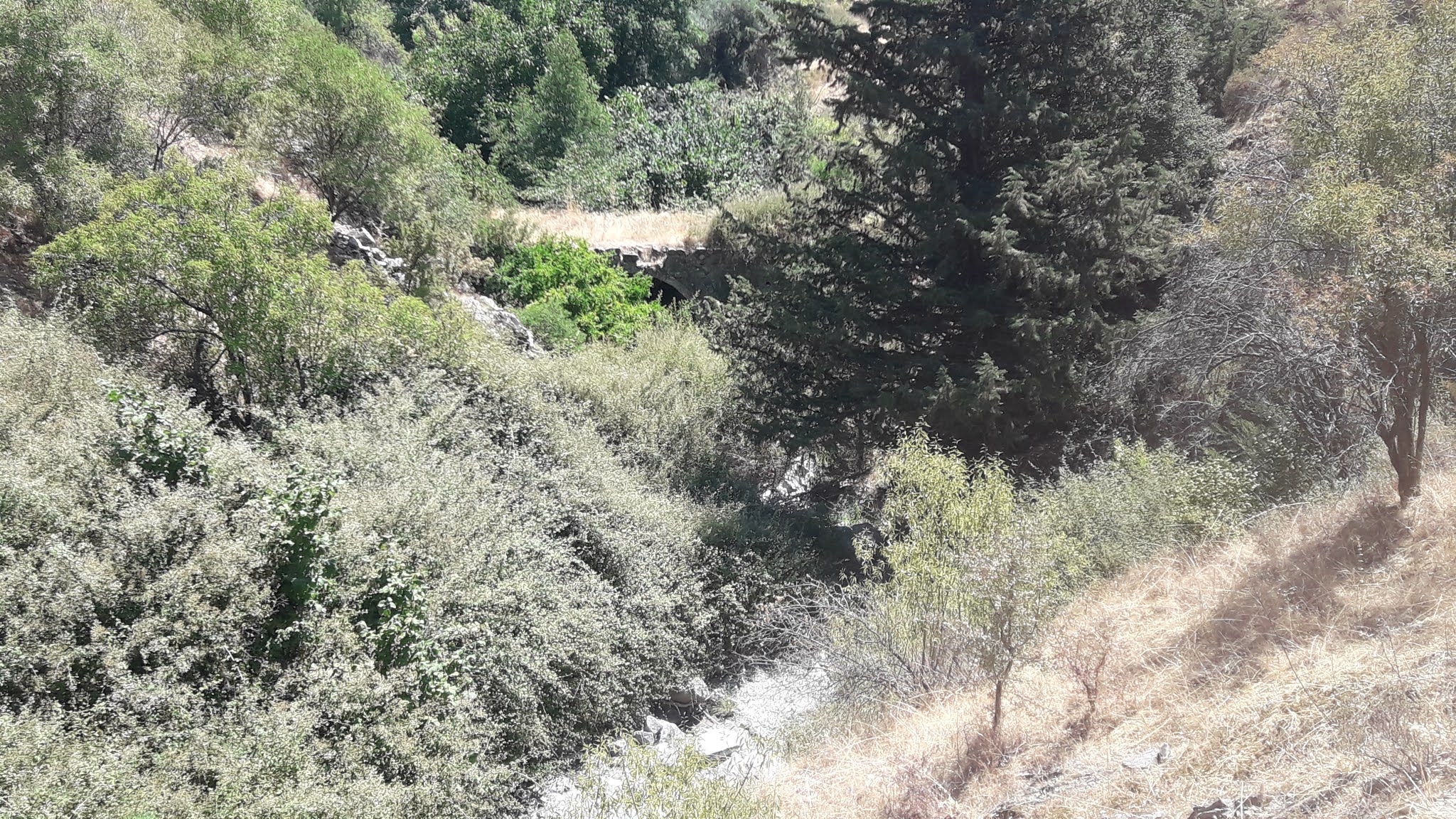 ΤΑ ΕΝΕΤΙΚΑ / ΑΡΧΑΙΑ ΓΕΦΥΡΙΑ ΤΗΣ ΚΥΠΡΟΥ