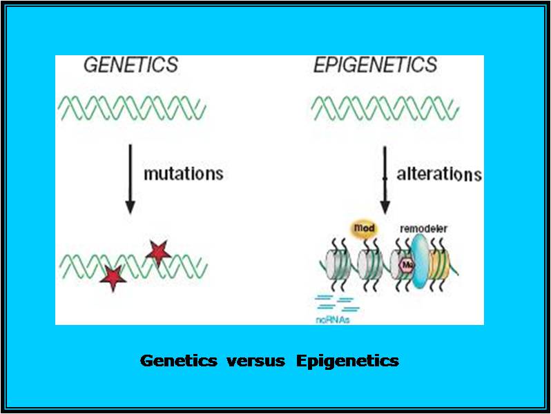 Epigenetics Encyclopedia: Genetics versus Epigenetics
